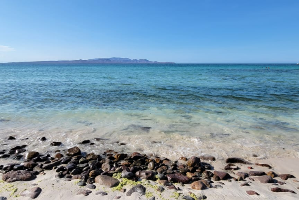 Guía Completa de Playa El Pulguero Tepetates: Snorkel, Arrecife y Cómo ...